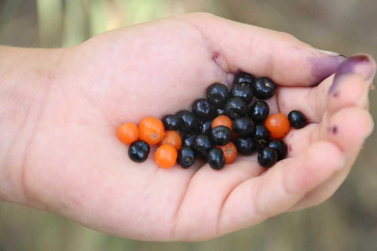 Let’s Be Intentional Together… | With Every Intention